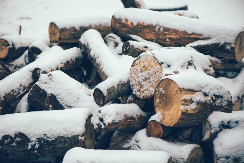 Pile of Wood Logs Under Snow Stock Image - Image of firewood, cold ...