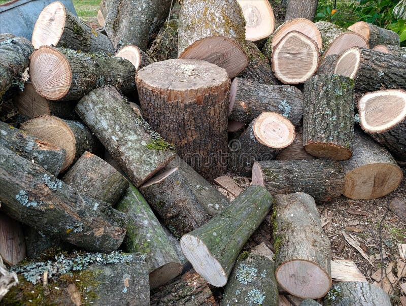 A Pile of Wood that is Sitting on the Ground Stock Photo - Image of ...