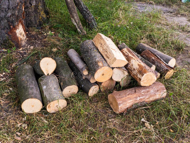 A Pile of Wood Sitting on Top of a Grass Covered Field Stock Image ...