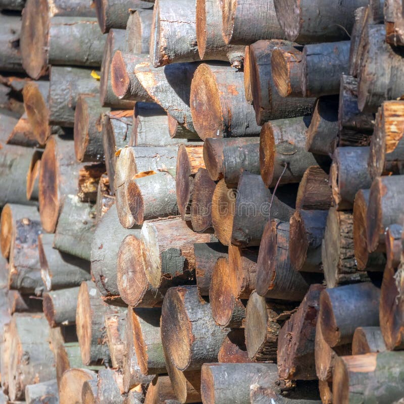 Pile of Wood, Stack of Firewood Close Up, Background Stock Image ...
