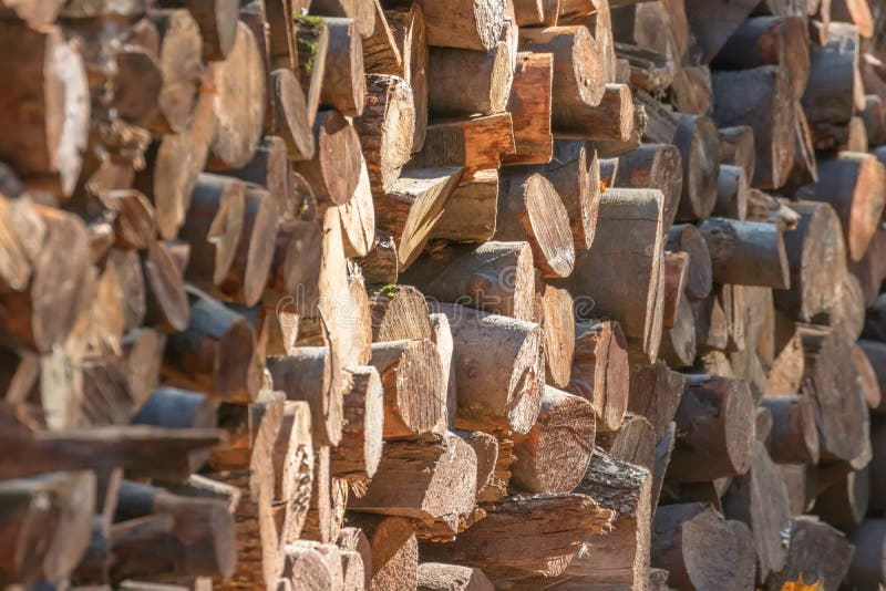 Pile of Wood, Stack of Firewood Close Up, Background Stock Image ...