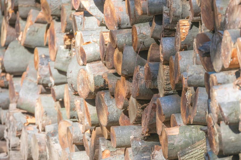 Pile of Wood, Stack of Firewood Close Up, Background Stock Photo ...