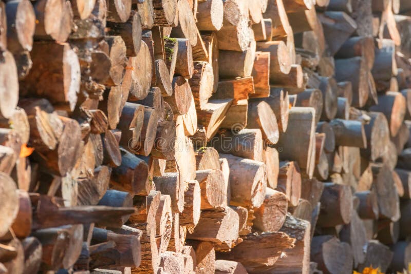 Pile of Wood, Stack of Firewood Close Up Stock Image - Image of flat ...