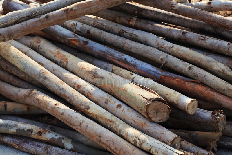 Pile of wood sticks stock image. Image of desk, design - 41670371