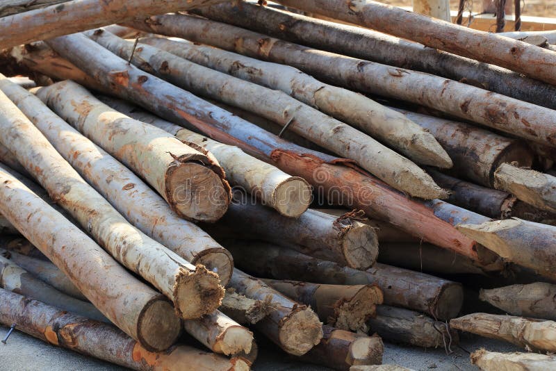 Pile of wood sticks stock image. Image of material, grungy - 41824451