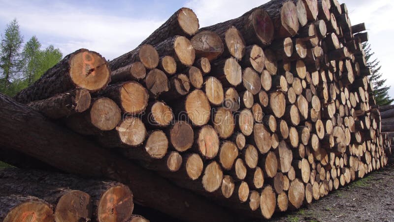 Wooden Logs Being Piled Up in Wheelbarrow Stock Video - Video of logs ...