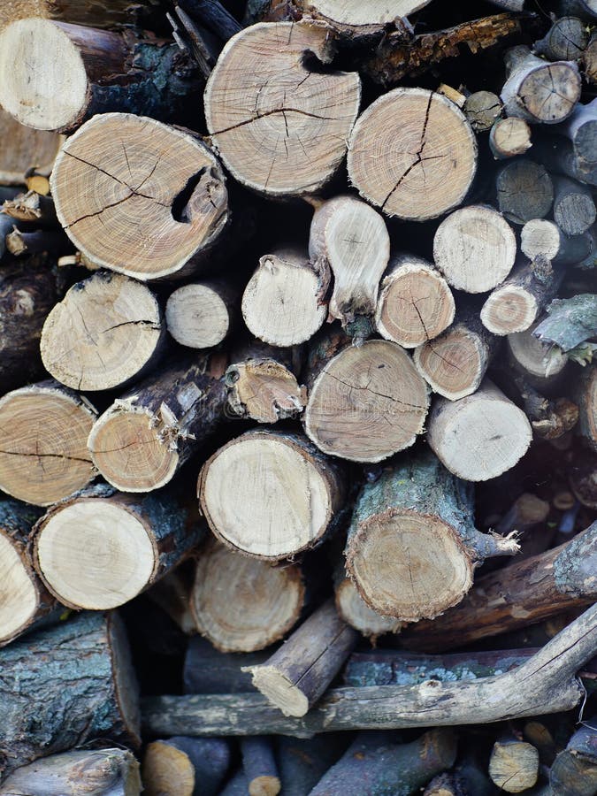 Pile of wooden logs stock image. Image of closeup, round - 103607245