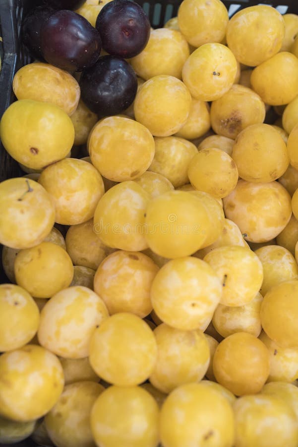 A Pile of Yellow Plums in a Box Stock Photo - Image of pile, healthy ...