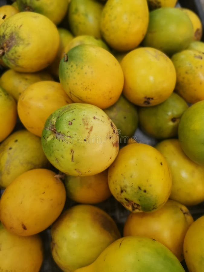 Pile of Yellow Pouteria Caimito Fruit. Stock Image - Image of appetizer ...