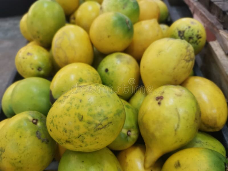 Pile of Yellow Pouteria Caimito Fruit. Stock Photo - Image of exotic ...