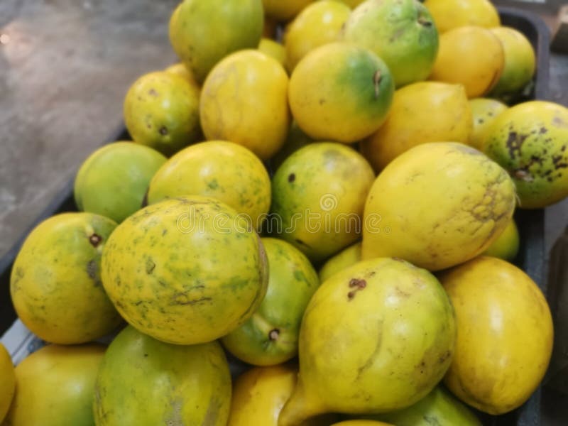 Pile of Yellow Pouteria Caimito Fruit. Stock Photo - Image of herb ...