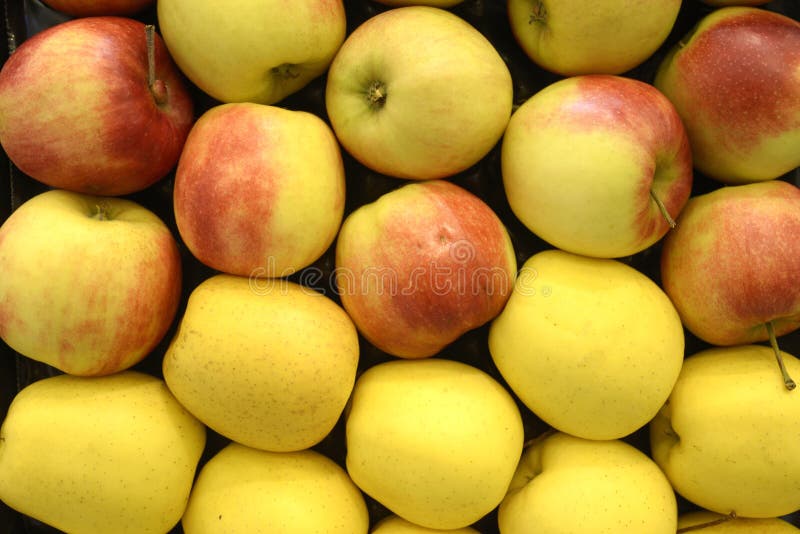 Pile of Yellow Ripe Apples Placed in a Box Stock Photo - Image of kiev ...