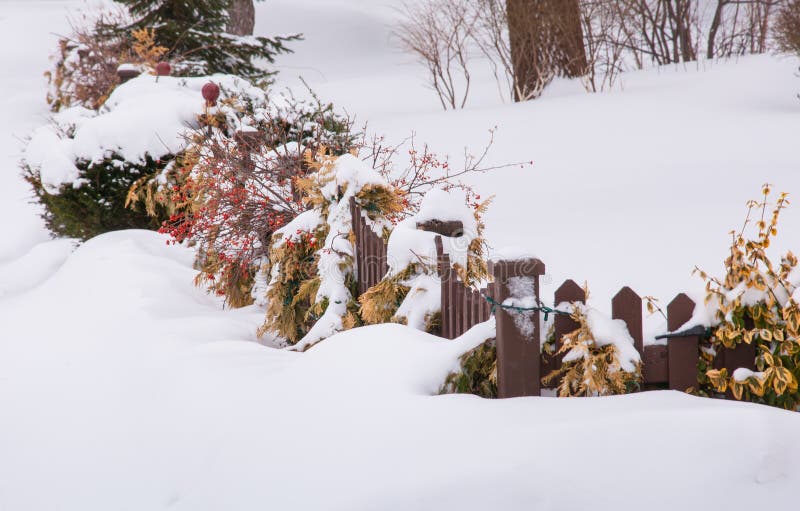 Piled Snow after Storm stock photo. Image of winter, easter - 56132236