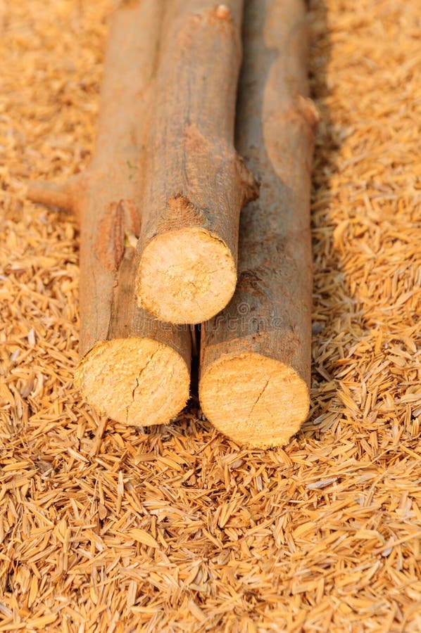 Piled Tree Trunks on Husk Background Stock Photo - Image of blue ...