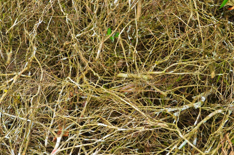 153 Human Encroachment Stock Photos - Free & Royalty-Free Stock Photos ...