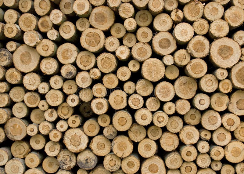Piled up logs stock photo. Image of detail, boles, forestry - 17739646