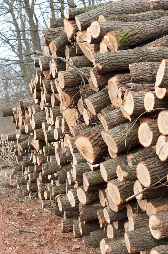 Piled up logs stock image. Image of history, heap, circle - 18853537