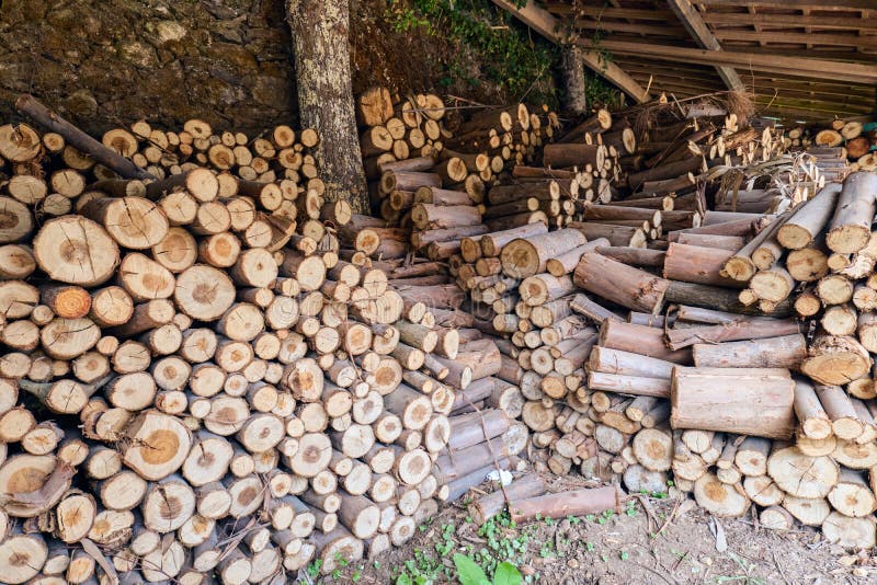 Piled Up Logs for Fireplaces in a Shed Stock Image - Image of outdoor ...