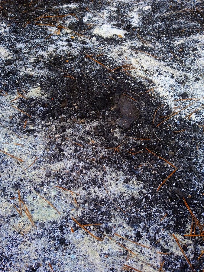 Piles of Ash that Look Like Snow. Very Beautiful Stock Photo - Image of ...