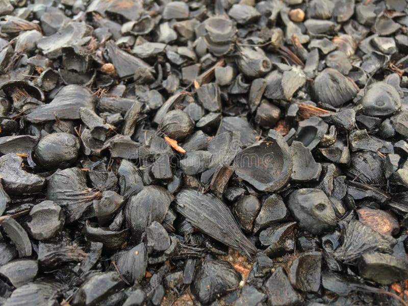 Piles of Black Palm Kernel Shells Stock Photo - Image of energy, pile ...