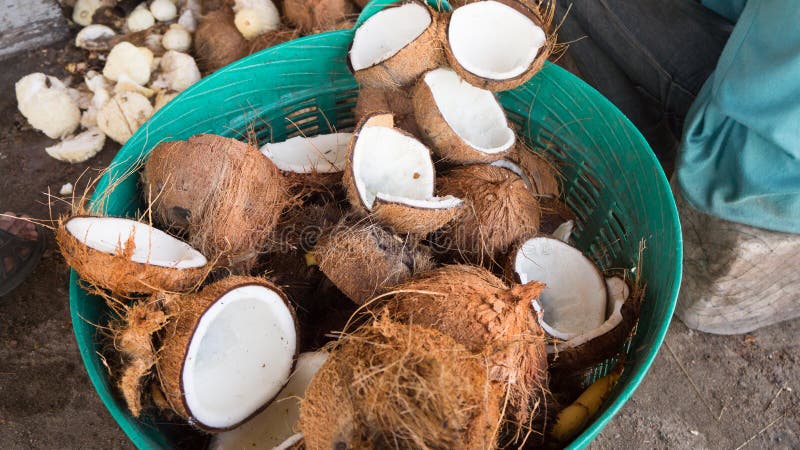 Piles of coconut shells. stock photo. Image of shell - 65580716