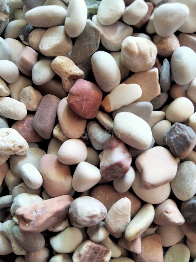 Piles of Coral of Various Beautiful Shapes Stock Photo - Image of coral ...