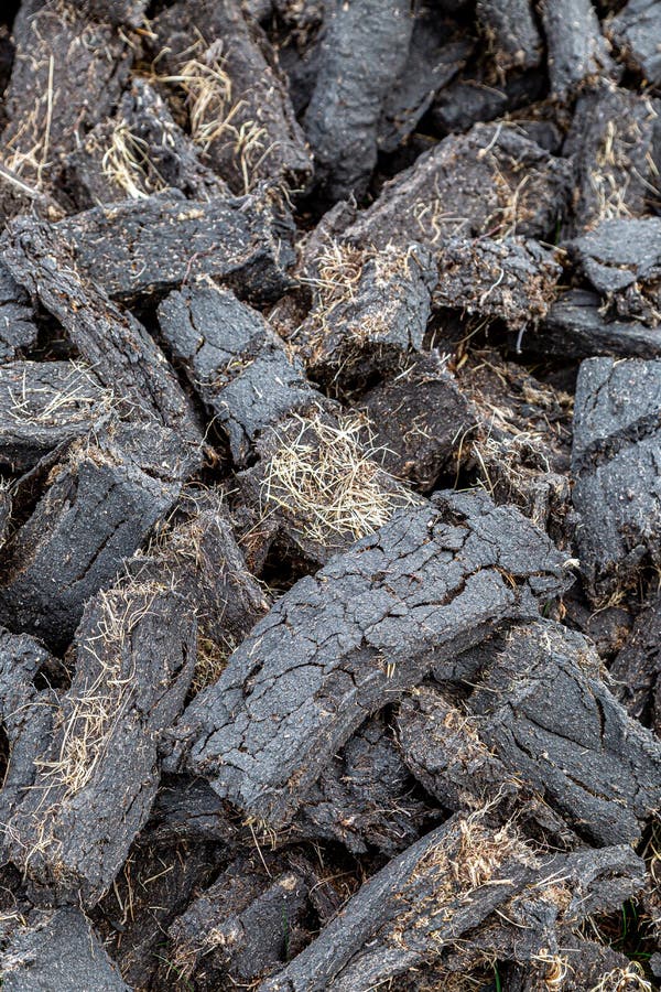 Peat Briquettes stock photo. Image of frame, heathland - 159236830