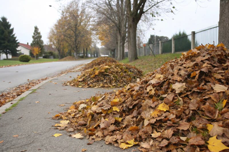 Piles of Dry Leaf Litter Ready for Collection Stock Illustration ...
