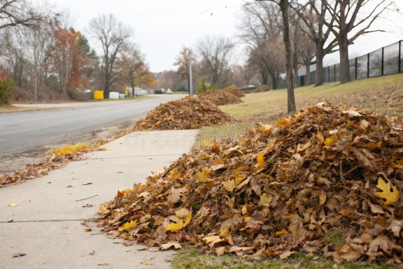 Piles of Dry Leaf Litter Ready for Collection Stock Illustration ...