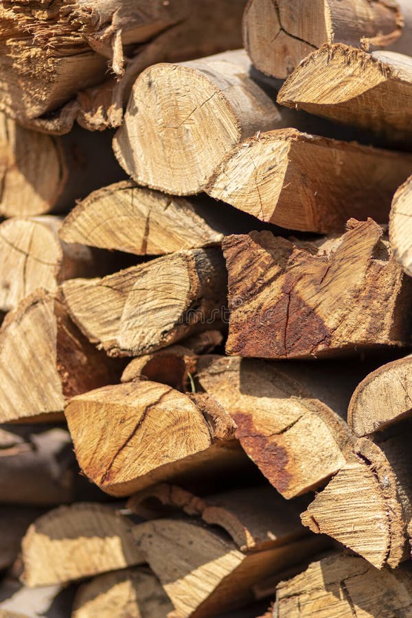 Wood piles stock photo. Image of pine, detail, abstract - 14026210
