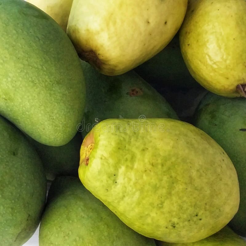 A Piles of Fresh Guava and Mango Stock Photo - Image of food, organic ...