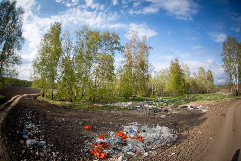 Piles of Garbage in the Field, Garbage in the Forest, Environmental ...