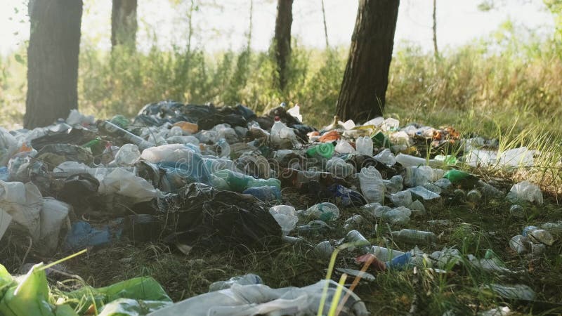 Different Garbage and Trash on a Ground in the Forest Stock Photo ...