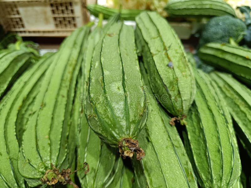 Piles of Luffa Sold in Traditional Markets Stock Image - Image of diet ...