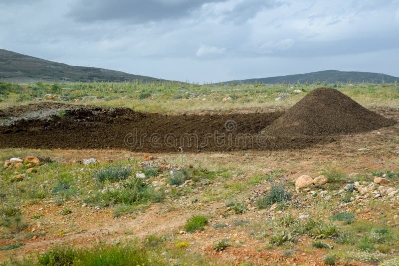 Piles of Manure in Field. Cow and Horse Manure with Land Stock Photo ...