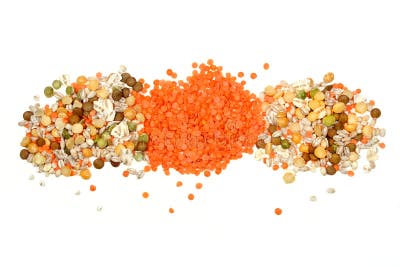 Piles of Pulses stock image. Image of vegan, soup, corn - 505609