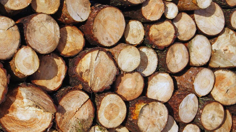 Piles of Sawn Timber stock image. Image of carpentry - 28586723