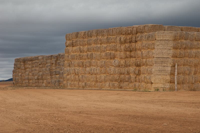 Piles of Stacked Rectangular Straw Bales in a Farmland. Stock Photo ...
