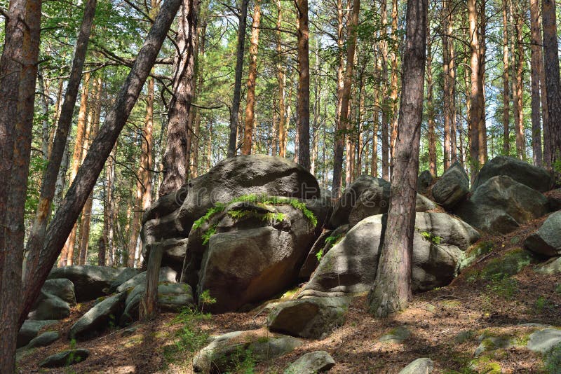 Old Ural Mountains stock image. Image of tree, grass - 155807807