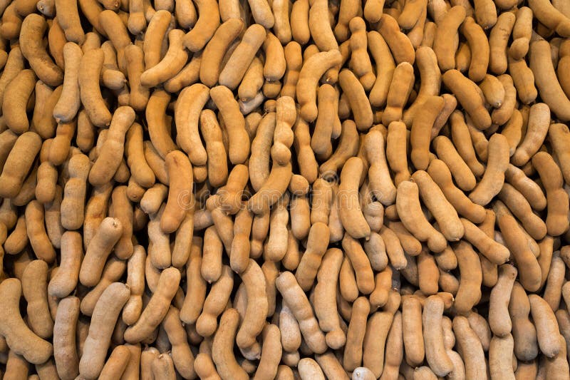 Piles of tamarind. stock photo. Image of natural, peanuts - 277475374