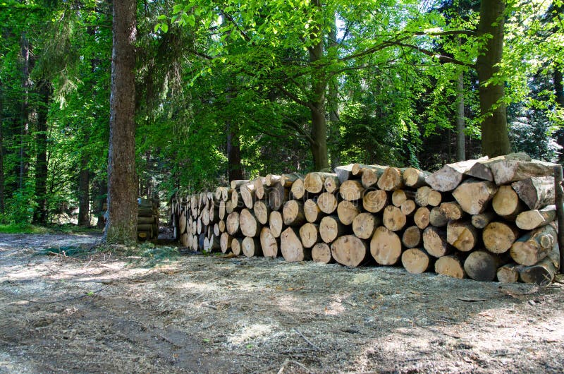 Piles of Timber Along Road in Forest Stock Image - Image of industry ...