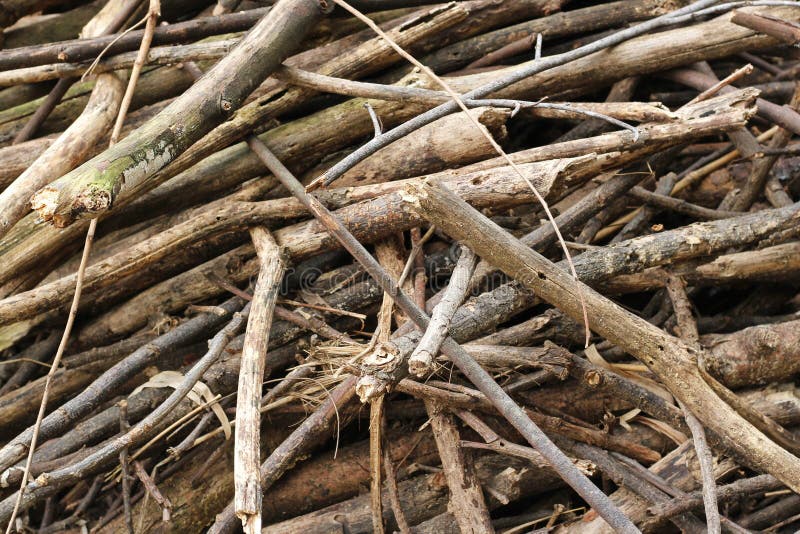 Piles of tree branches stock image. Image of outdoors - 80732011