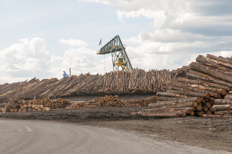 Old Lumber Mill stock photo. Image of tool, lumber, sawdust - 35733748