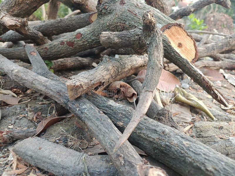 Piles of twigs stock photo. Image of twigs, traditional - 288208250