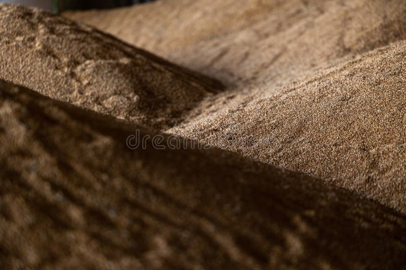 Piles of Wheat Grains at Mill Storage or Grain Elevator. the Main ...