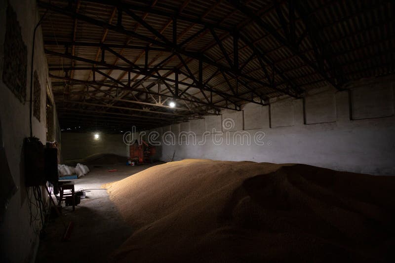 Piles of Wheat Grains at Mill Storage or Grain Elevator. the Main ...