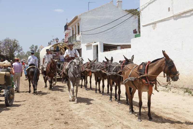 Pilger Mit Einem Eselskarren in EL Rocio, Spanien Redaktionelles Bild ...