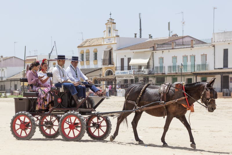 Andalusisches Pferd in EL Rocio, Spanien Redaktionelles Stockfoto ...