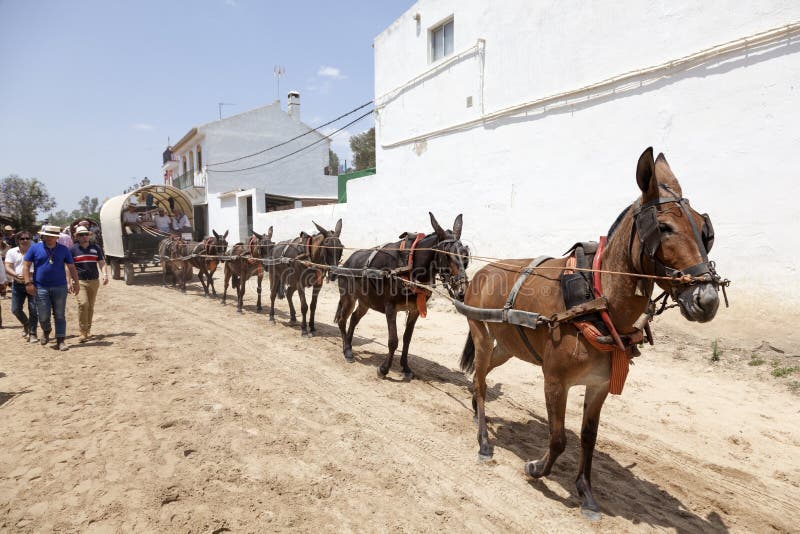 Pilger Mit Einem Eselskarren in EL Rocio, Spanien Redaktionelles Bild ...