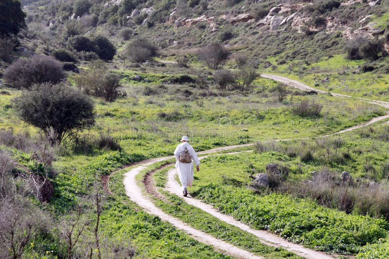 Pilgrim goes on road stock photo. Image of field, person - 14874016